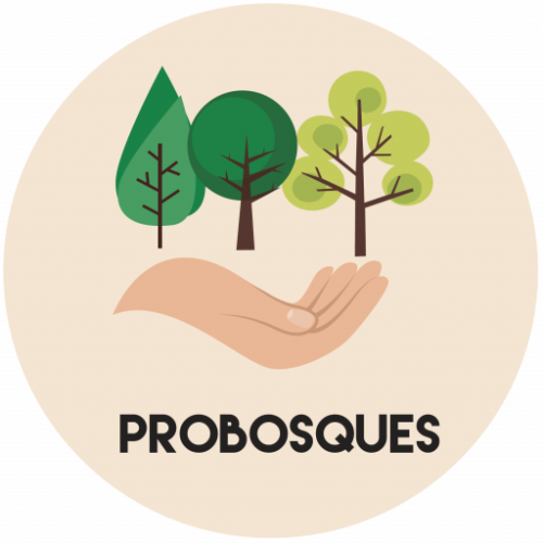 Probosques
